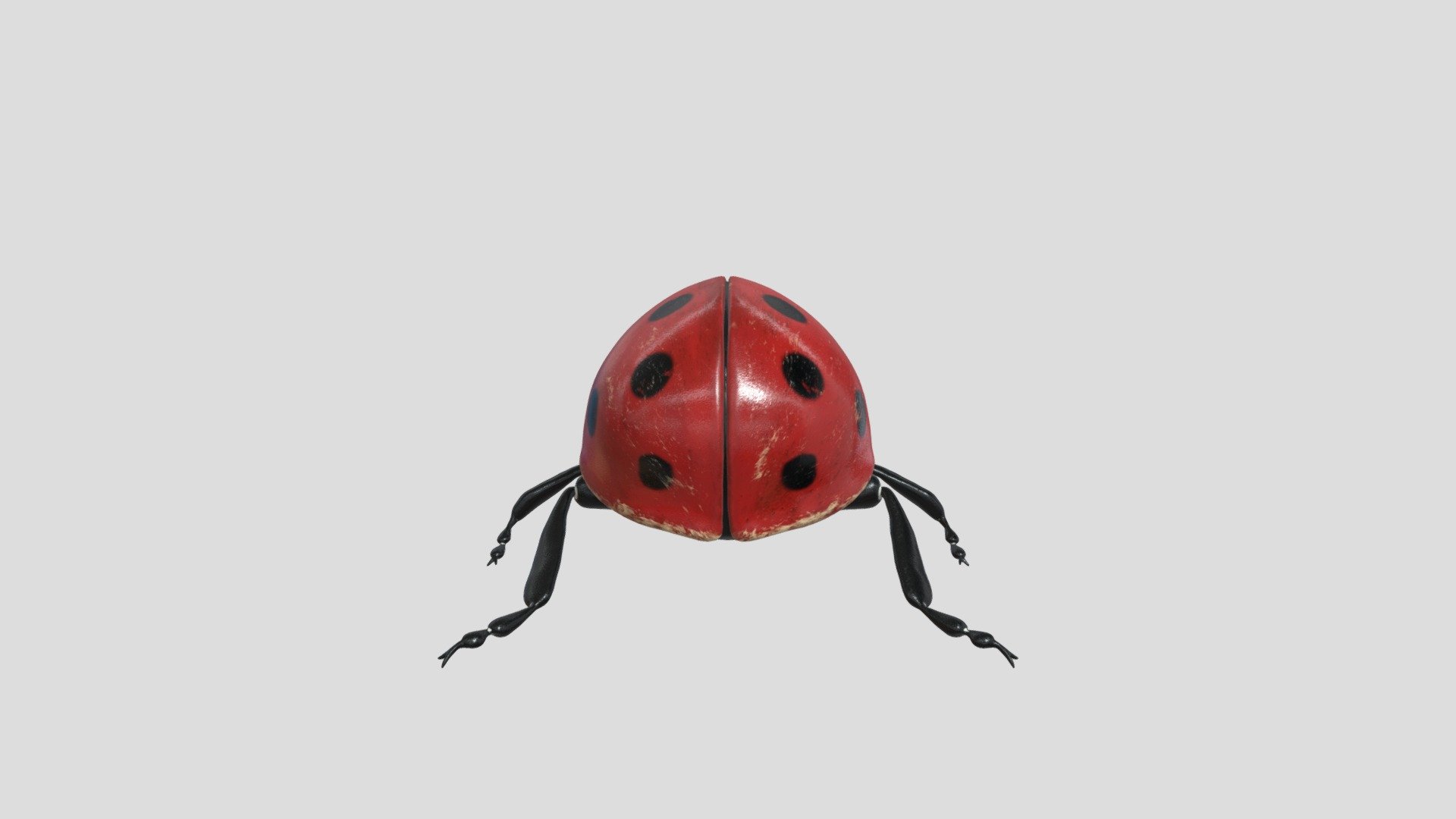Ladybug - Download Free 3D model by guruvaidya [8dd59fa] - Sketchfab