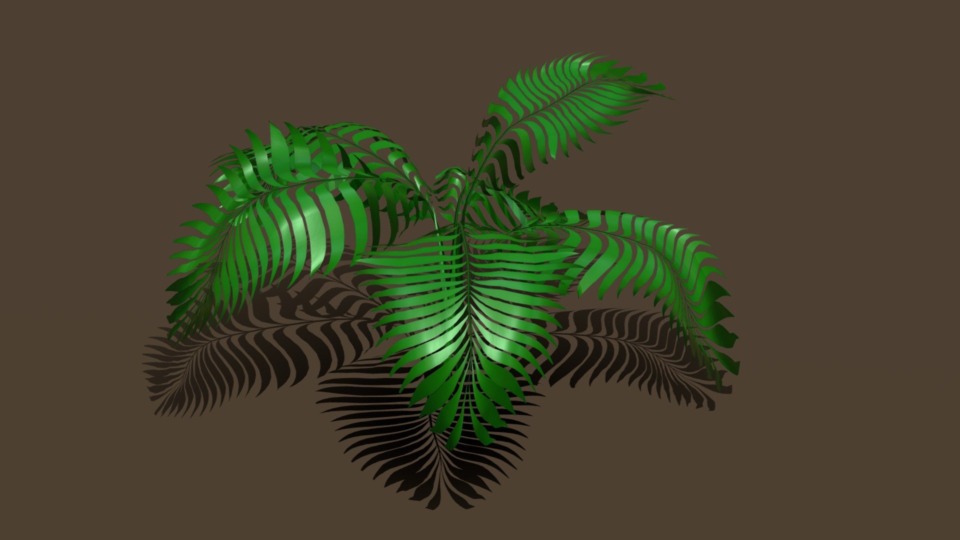 Modern Fern Lightweight - 3D model by jonnyo [8dd73c5] - Sketchfab
