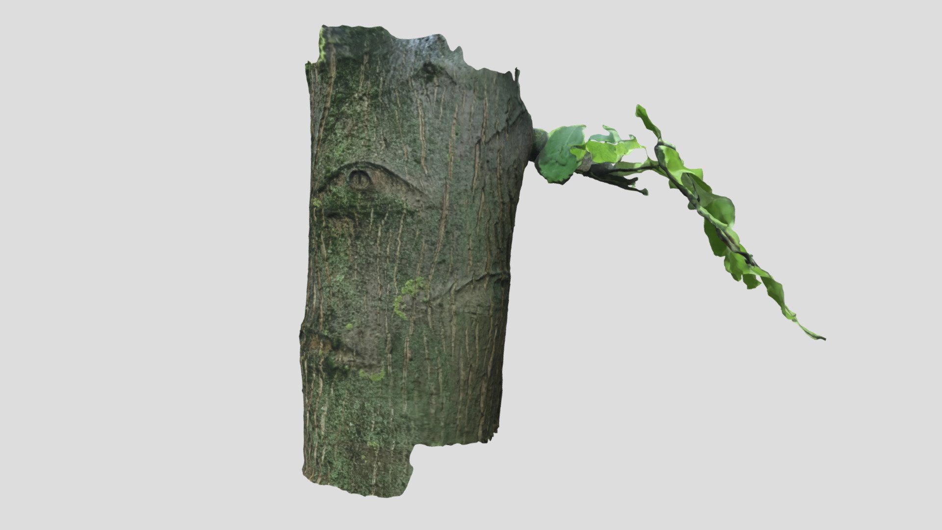 000_sje_00147_oko_oppo_video_simplified_3d_mesh - 3D model by takac ...