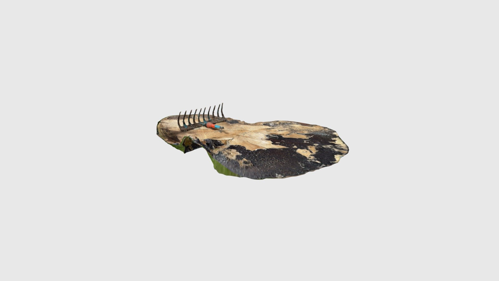 Hark - Download Free 3D model by Markhelder [8dec870] - Sketchfab