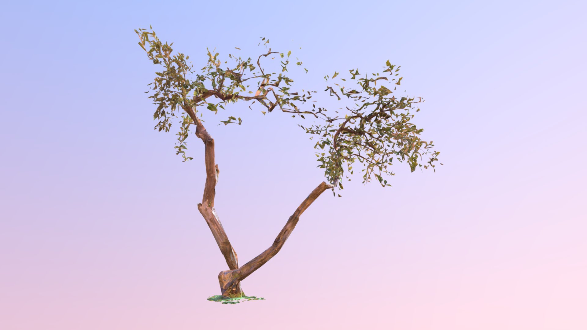 Clementine Tree - Download Free 3D model by David Wigforss (@dwigfor ...