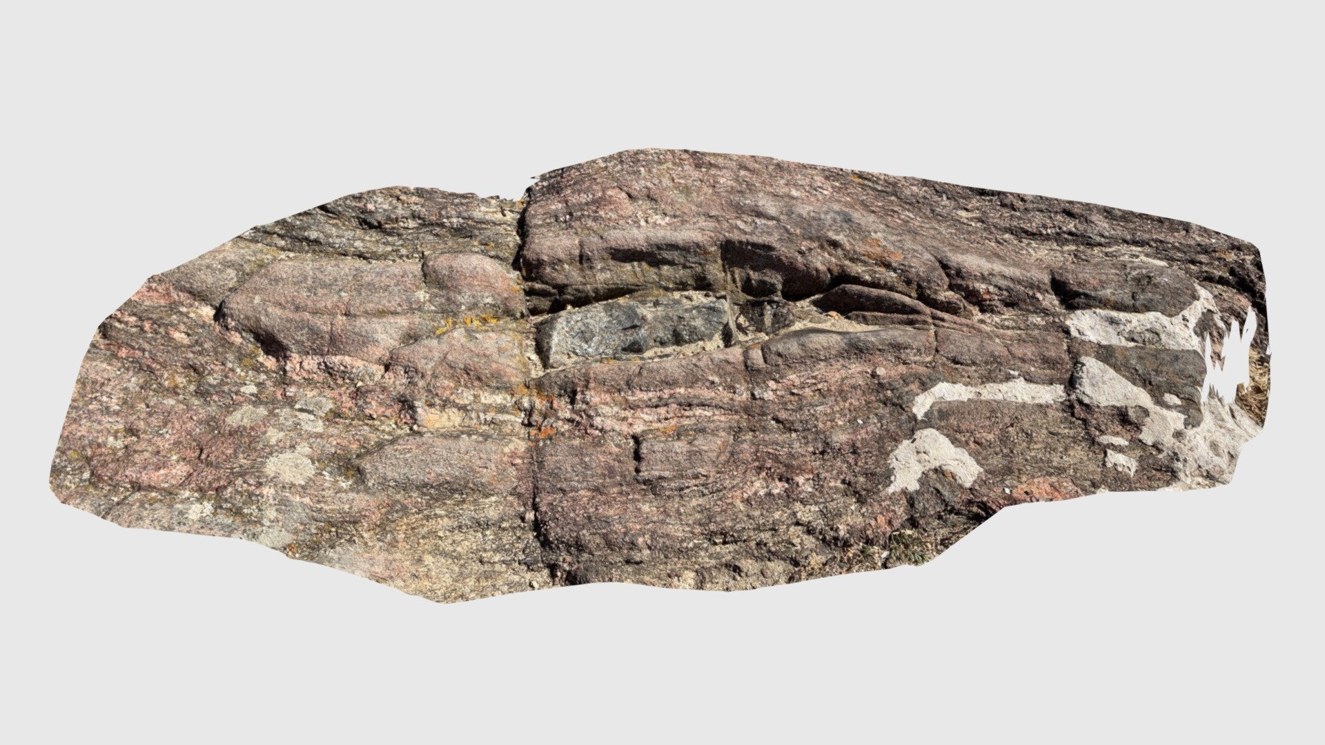 Restite dans un gneiss migmatitique - Download Free 3D model by Ecole ...