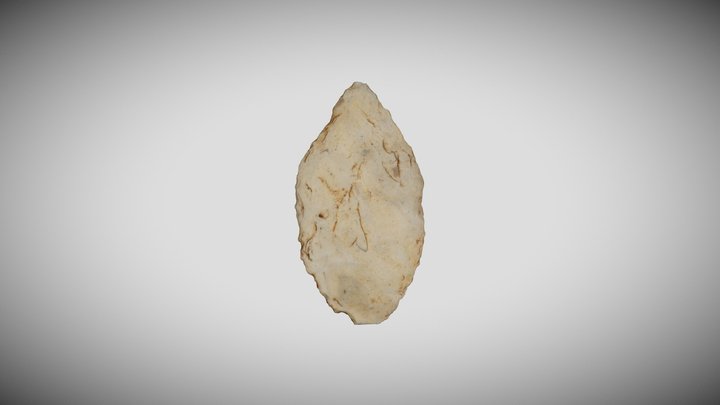 Arrowhead 3D models - Sketchfab