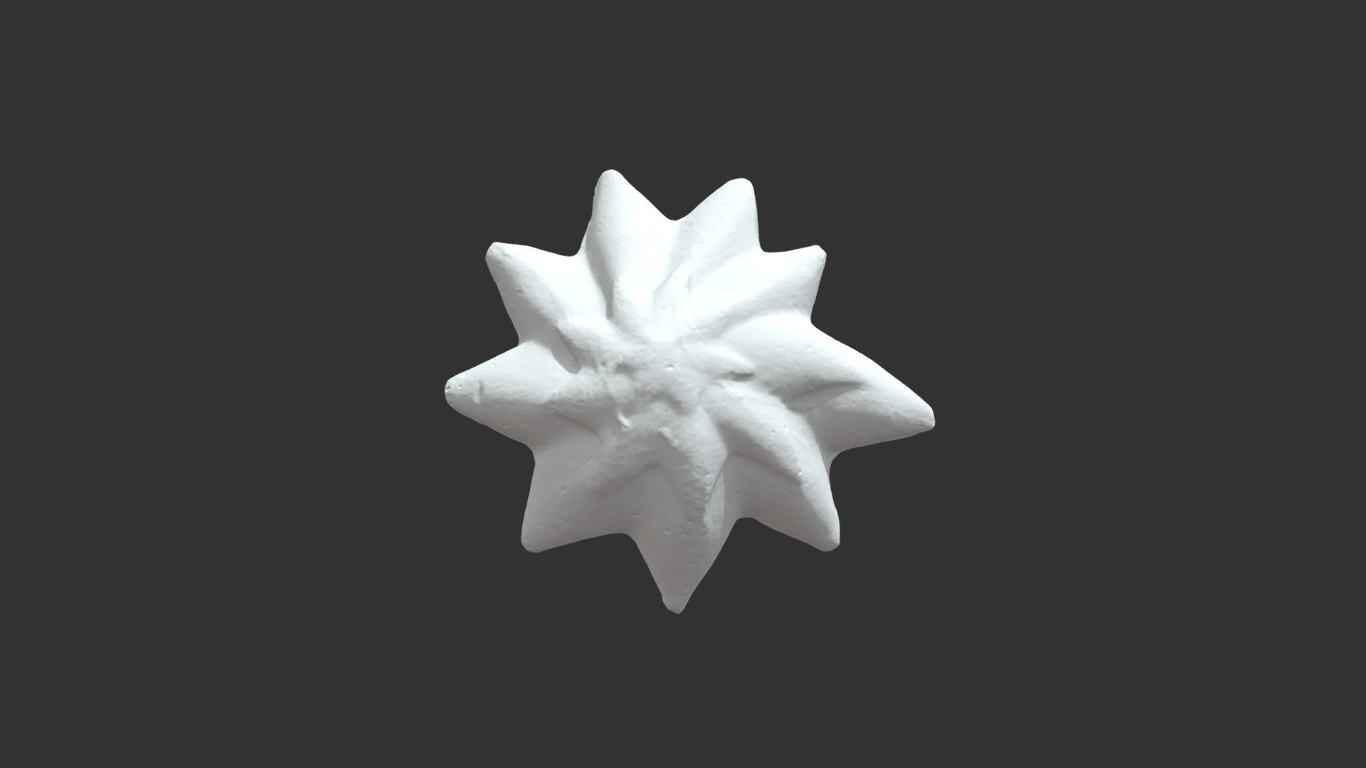 Calcarina calcar (206556) - 3D model by Photo3D (@vect3d) [8e01ade ...
