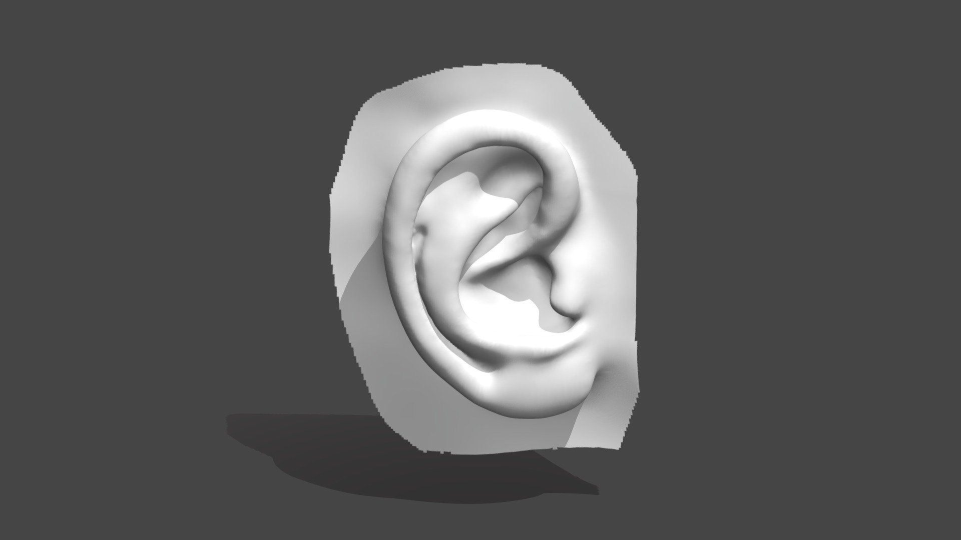 Ear - Download Free 3D model by jatinnavadiya [8e0f984] - Sketchfab