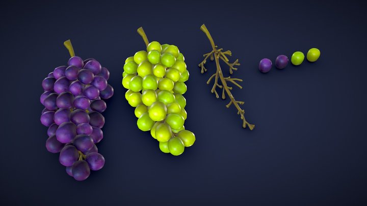 Grape 3D models - Sketchfab