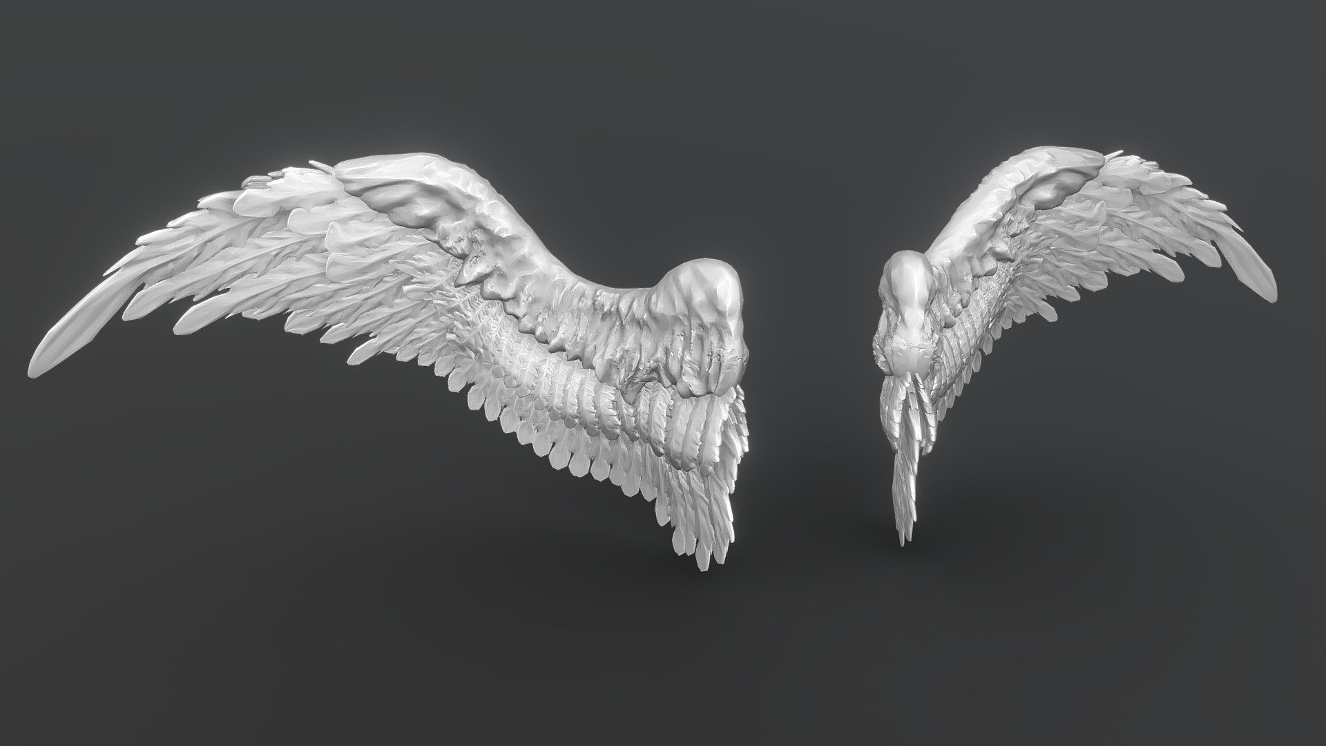 Feather Wing Set 1 - Buy Royalty Free 3D model by Alexandria Maharaj ...