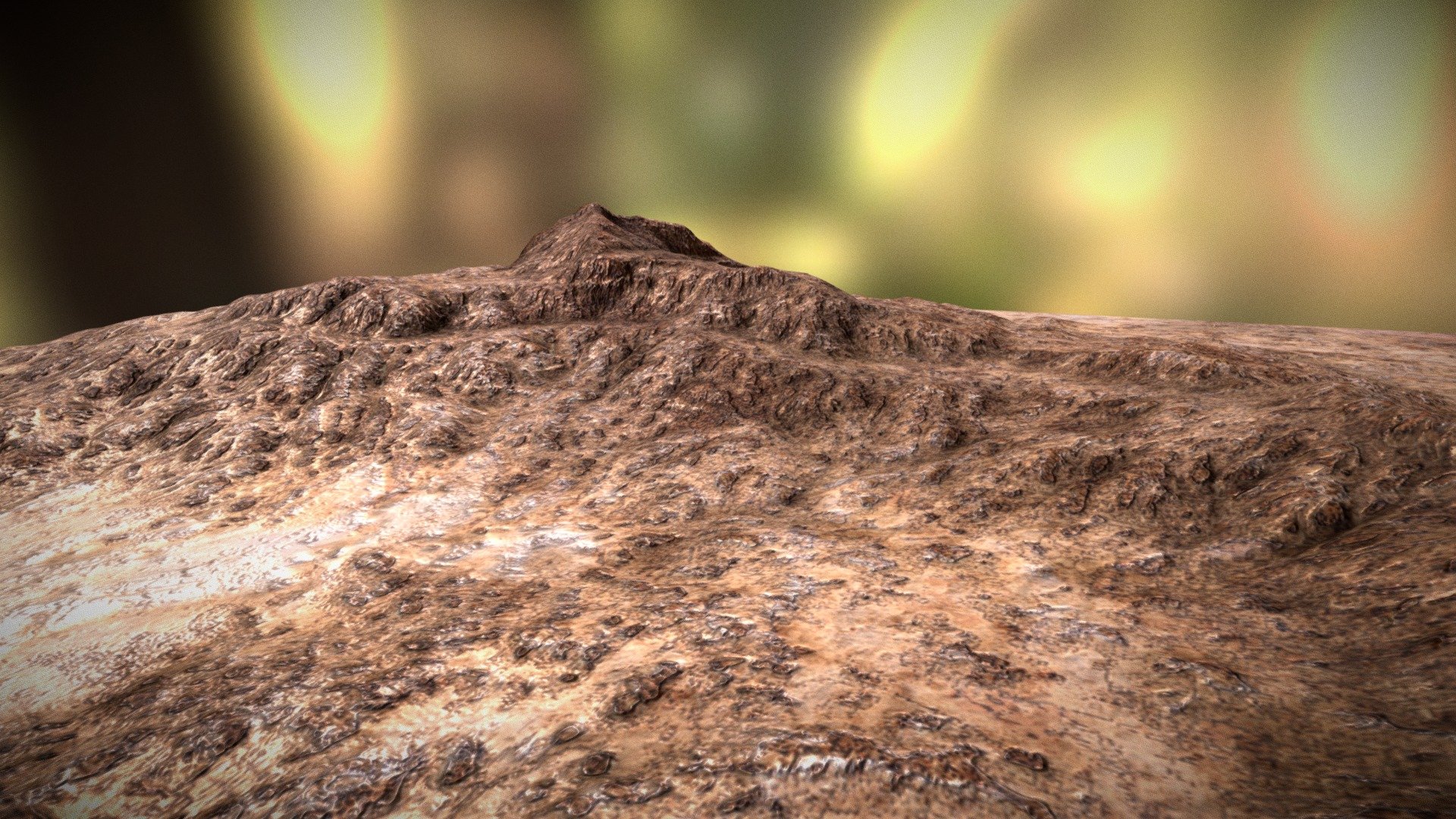 basic ground - 3D model by klrxyz [8e29823] - Sketchfab