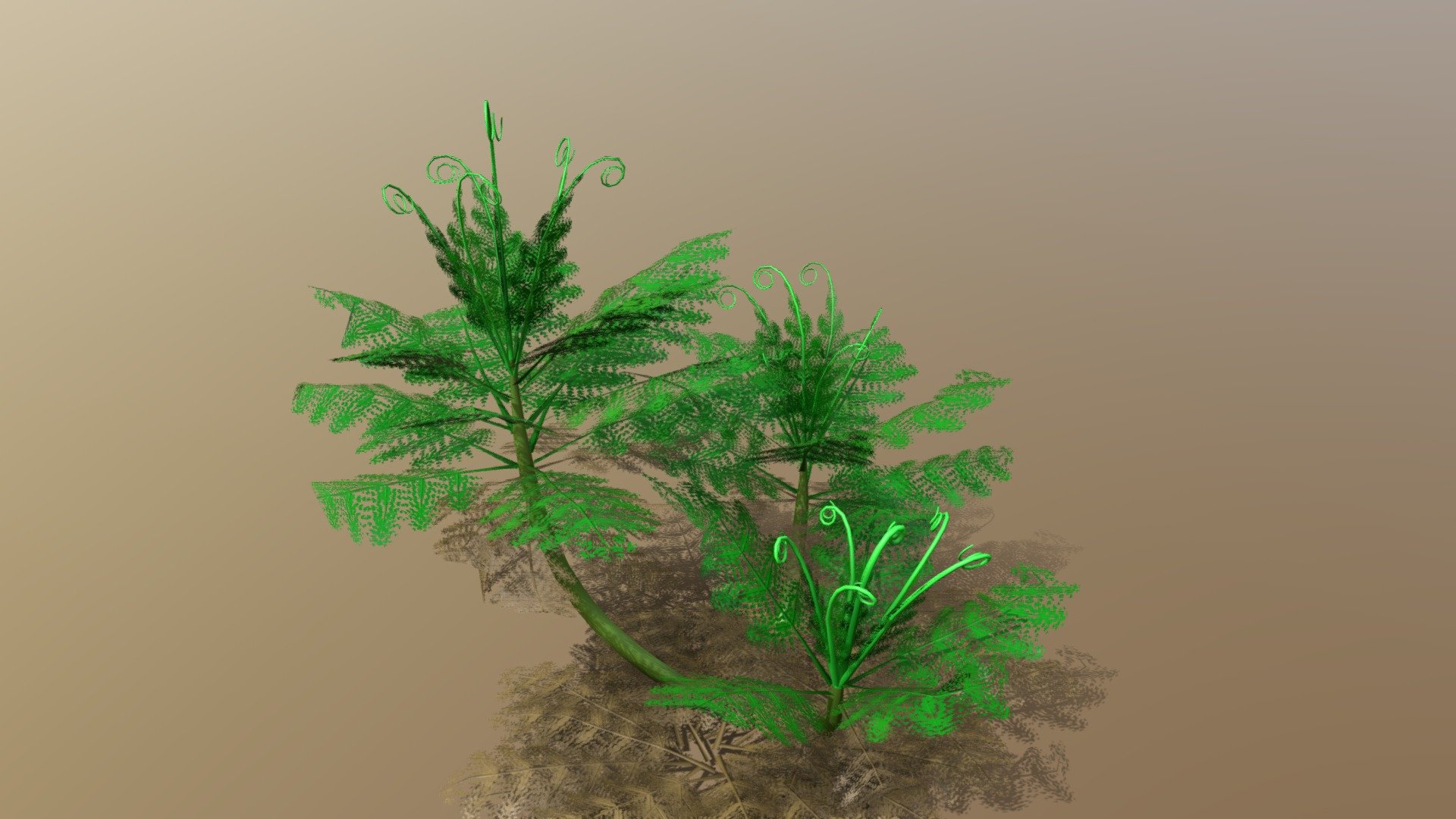 Sphenopteris - 3D model by Paleobiome [8e2f332] - Sketchfab