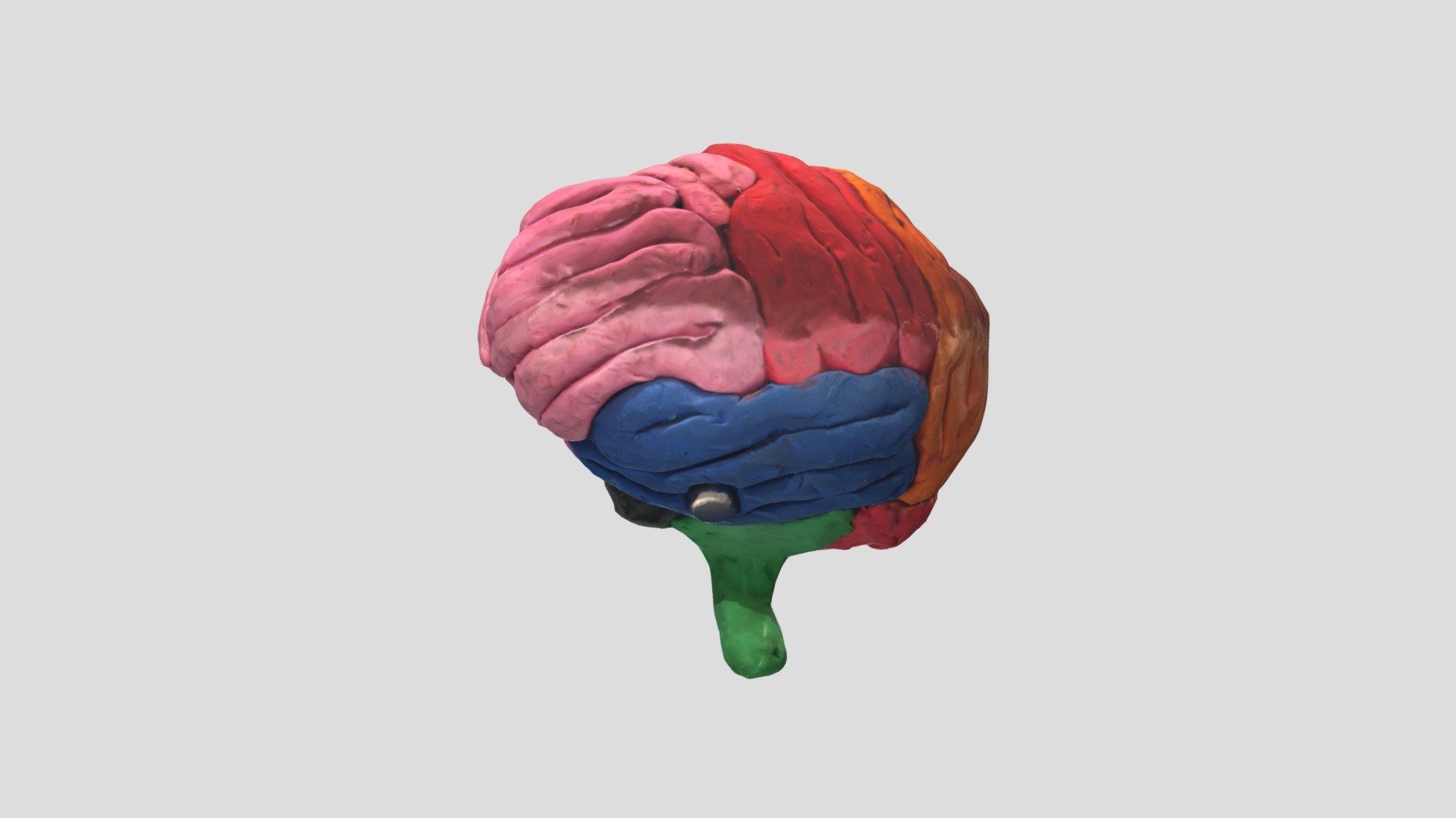Brain Structure - 3D model by jg808 [8e2ffd9] - Sketchfab