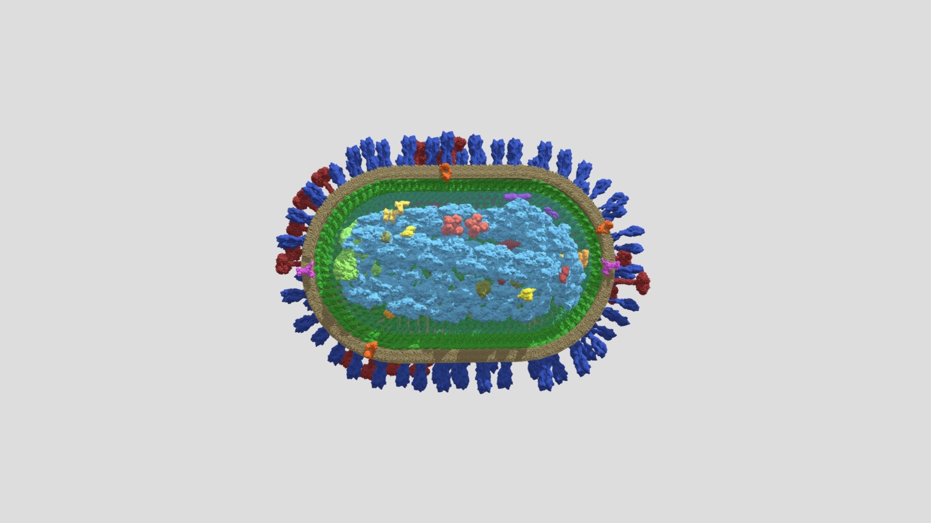 Influenza Virus - 3D model by Logan Sheehy (@logansheehy) [8e38634 ...
