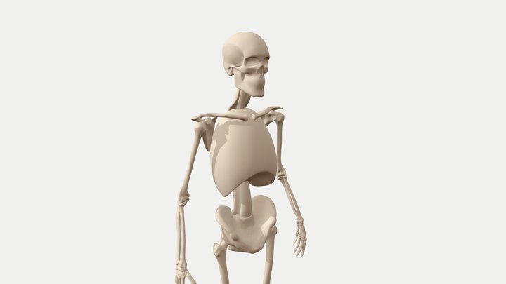 pearsetoomey - Sketchfab