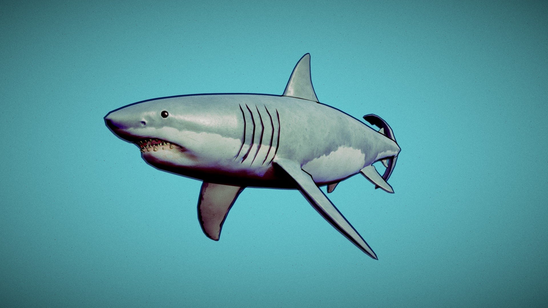 White Pointer - Download Free 3D model by 3dartstevenz [8e42905 ...