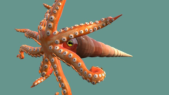 Paleozoic 3D models - Sketchfab