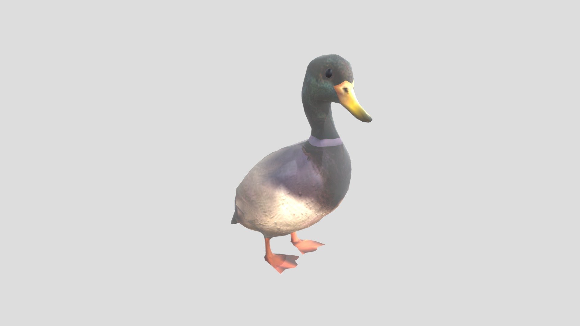 Mallard Duck - Male - Download Free 3D model by Yvonne DeBandi (@yvonne ...