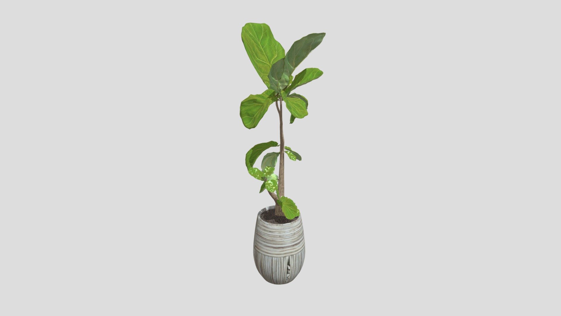 Archive - Download Free 3D model by idgroupweb [8e46fdc] - Sketchfab