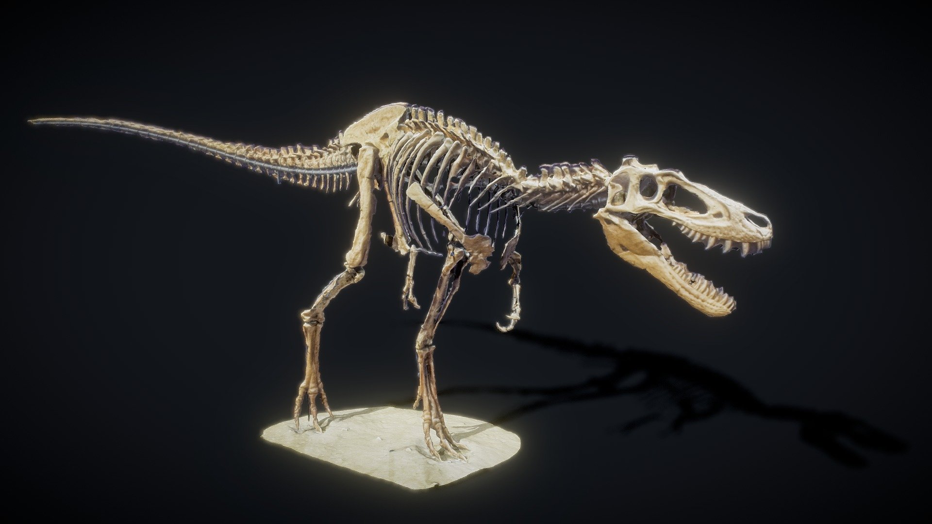 Juvenile Tyrannosaurus Rex - Buy Royalty Free 3D model by ...