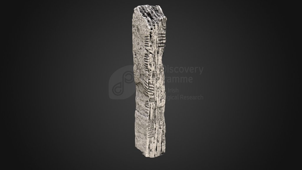 Coolmagort,Ogham Stone 5 - 3D model by The Discovery Programme ...