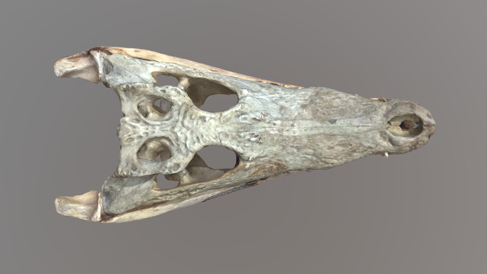 crane Caiman 2 - Download Free 3D model by Tavernier Amaury ...