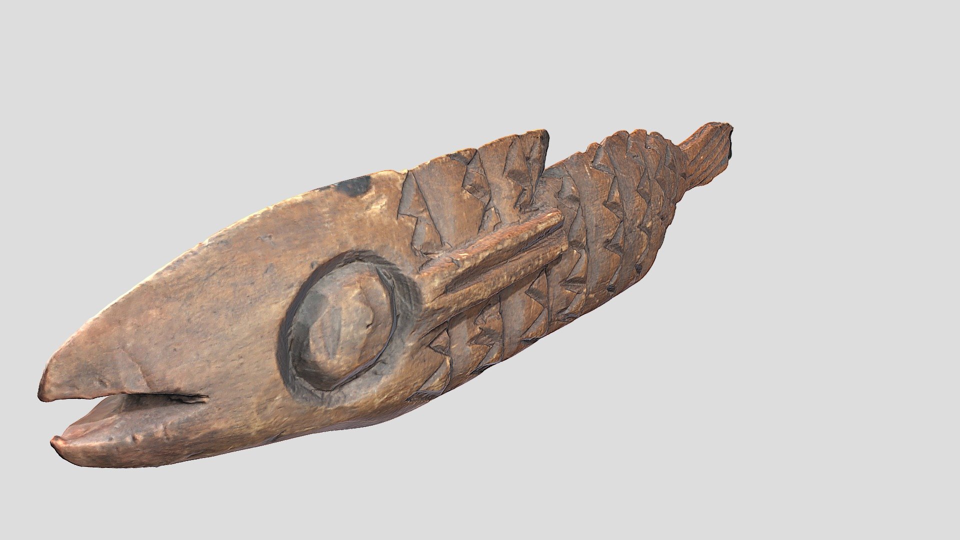 Cedar Wood Float - Hastings Museum - 3D model by Deep3D (@simonbrown ...