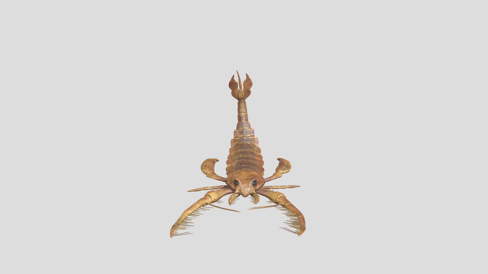 Jaekelopterus - Download Free 3D model by Lyndongamer [8e5b5b4] - Sketchfab