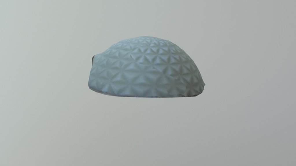 Turtle shell - 3D model by claireall3dp [8e64a36] - Sketchfab