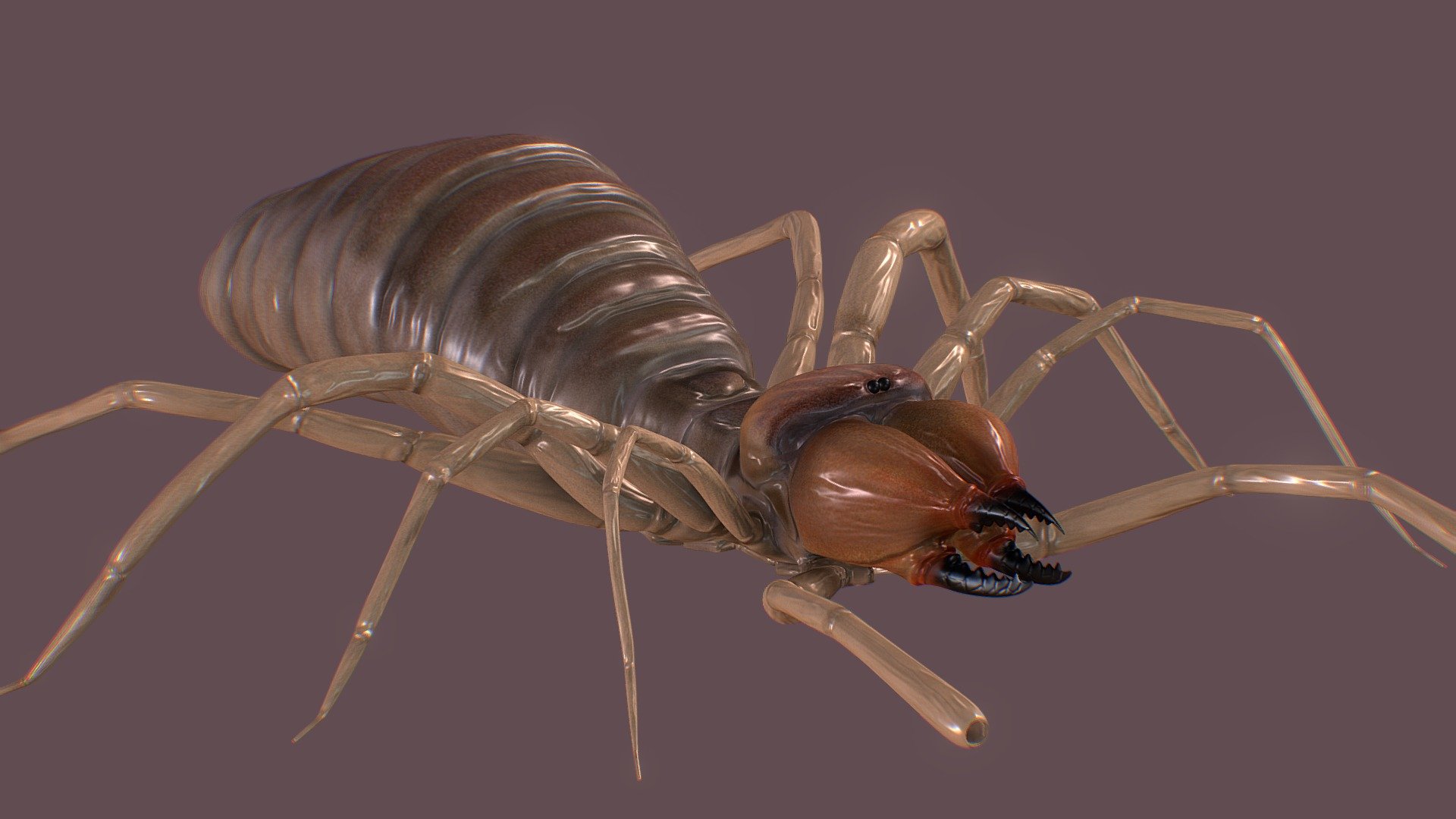 Monstrous Solifugae - 3D model by heofonly (@aaronsakhi) [8e69bb3 ...