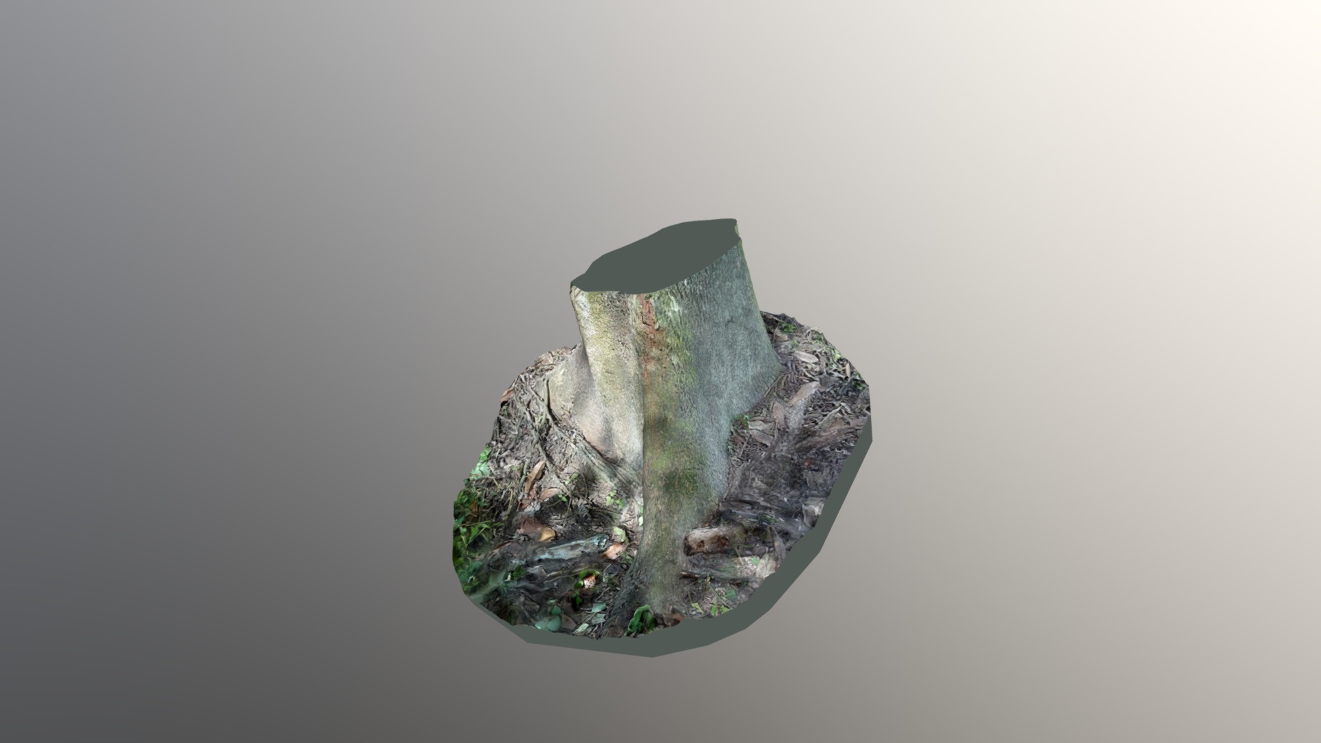 Pokok Mempalam - Download Free 3D model by solidussnake928 [8e6fc92 ...
