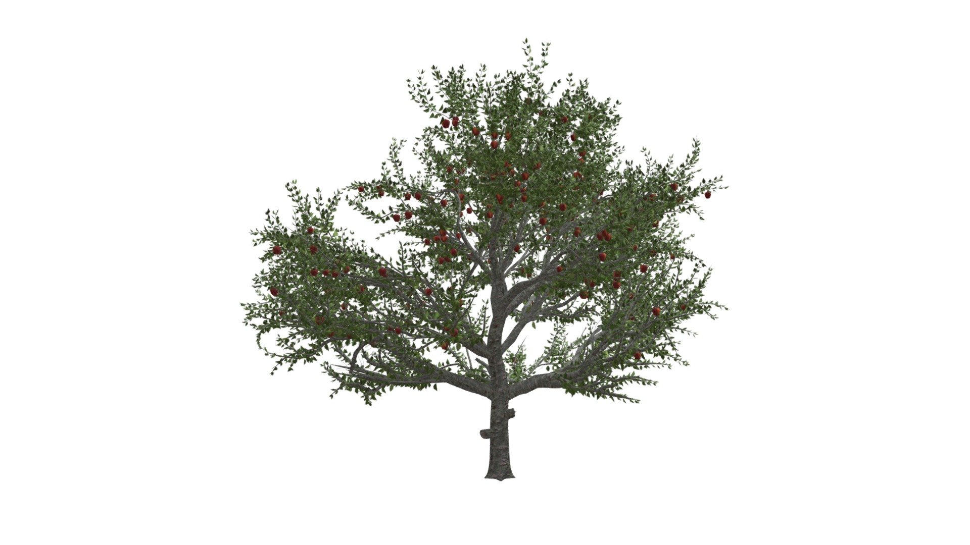 Red Delicious Apple Tree #02 - Buy Royalty Free 3D model by meshshape ...