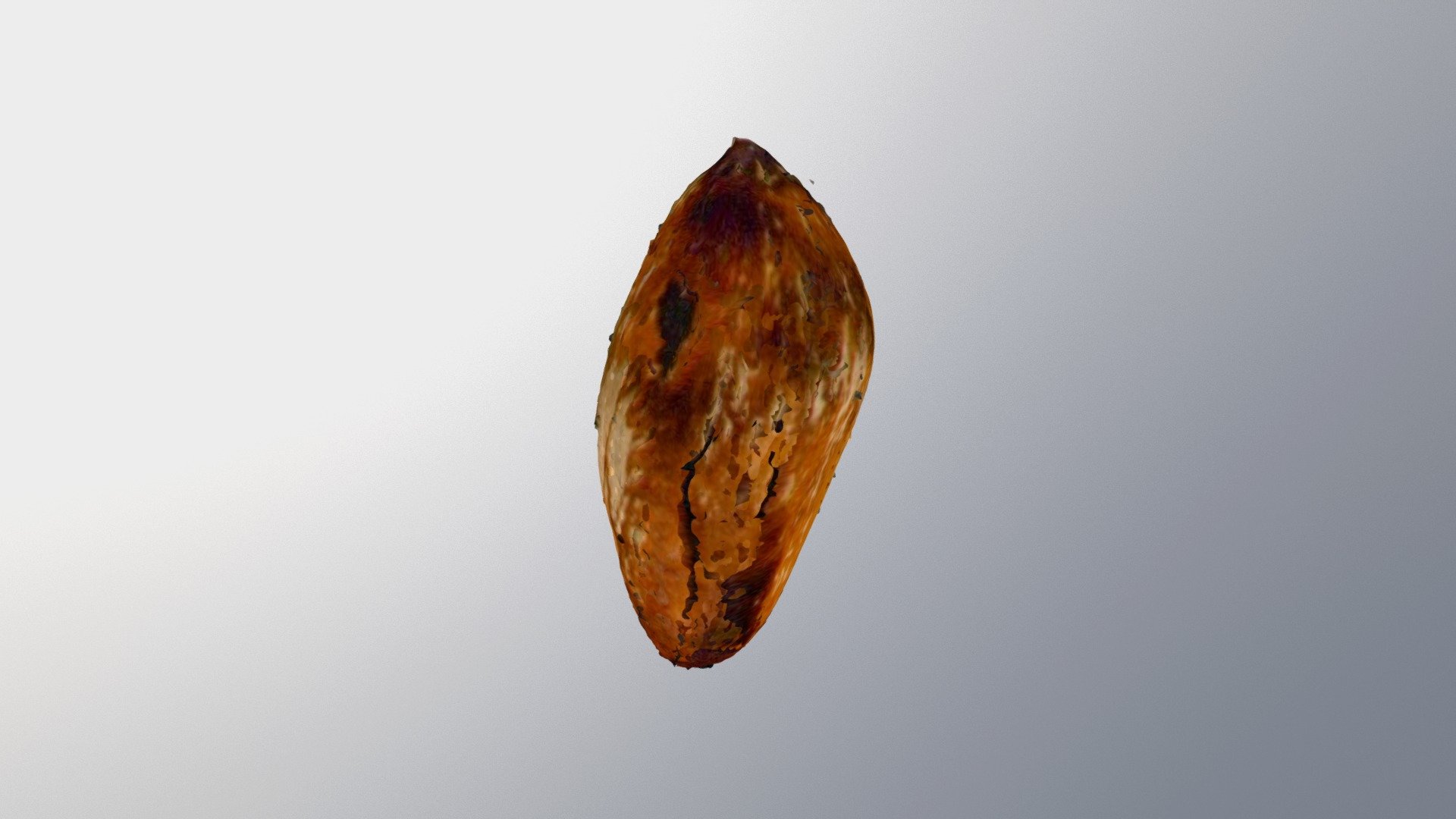 Monodora myristica - 3D model by Keenanco [8e74eab] - Sketchfab