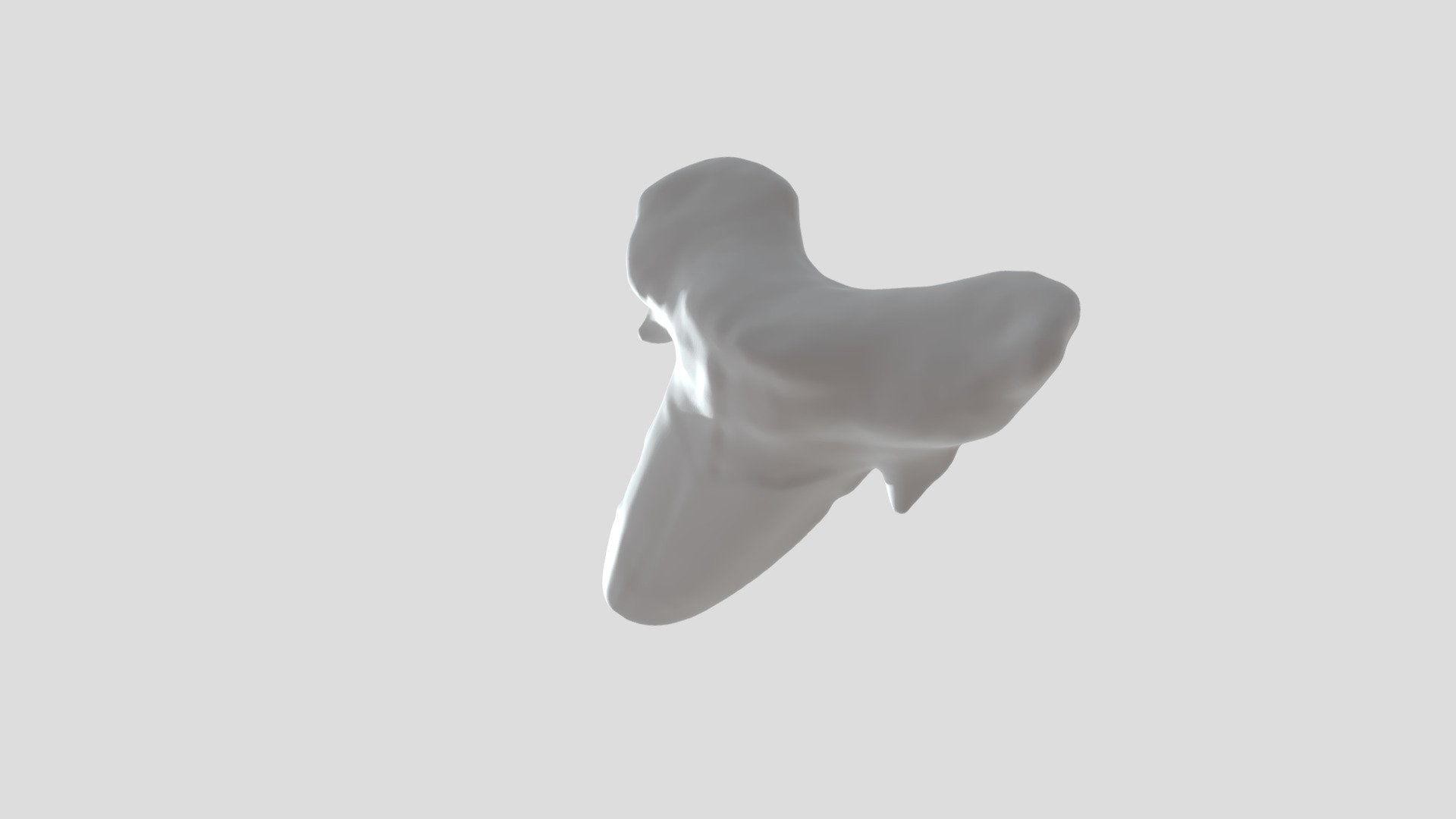 Shark tooth (small) - Download Free 3D model by Museum for Touch ...