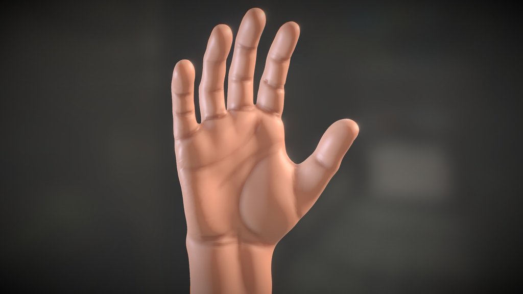 Hand Reference - A 3D model collection by FeArt - Sketchfab