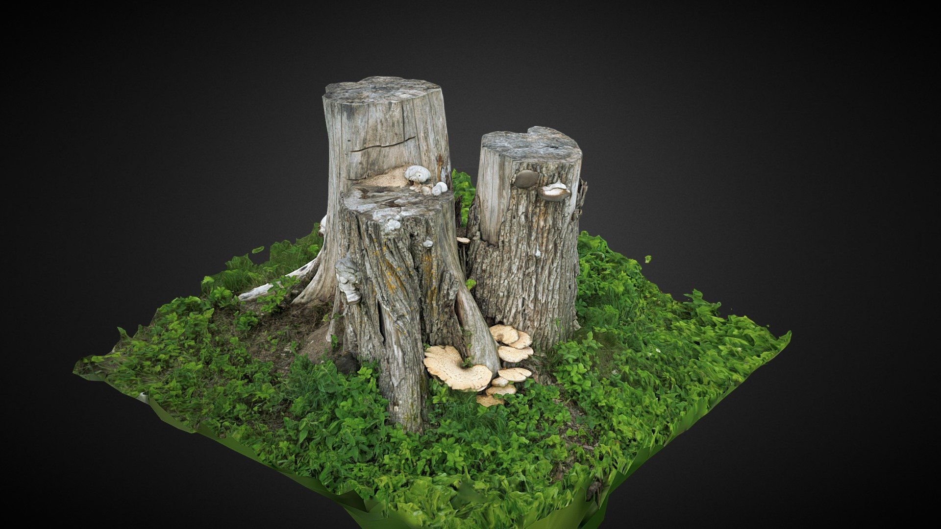 Tree Trunk - Buy Royalty Free 3D model by Viesturs Dille (@vdille ...