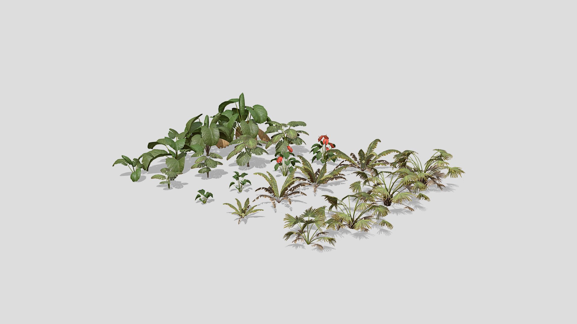 Tropical Plants Pack - 3D model by evolveduk [8e8a185] - Sketchfab