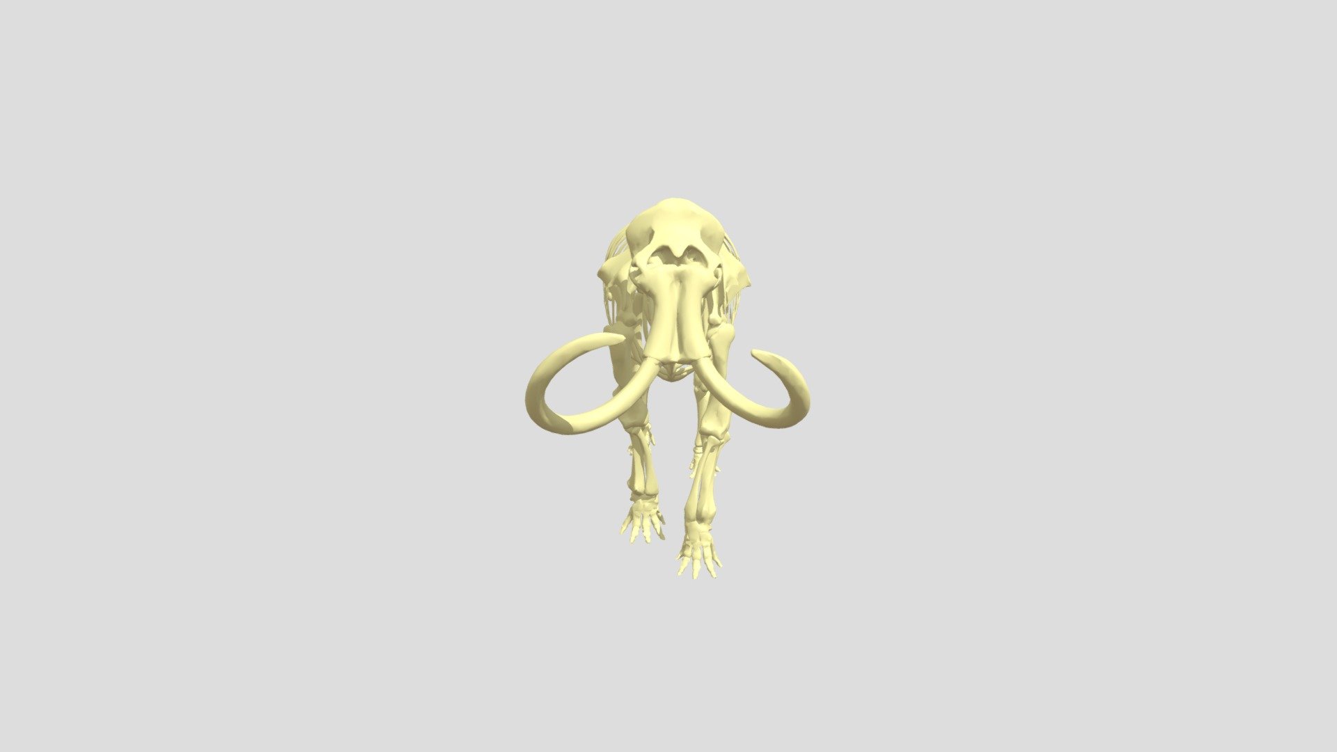 Woolly Mammoth Skeleton - Download Free 3D model by Wr_titan ...