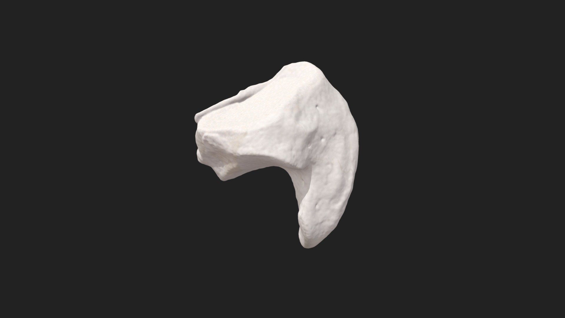 ulnar carpal bone (os carpi ulnare) chicken - Download Free 3D model by ...