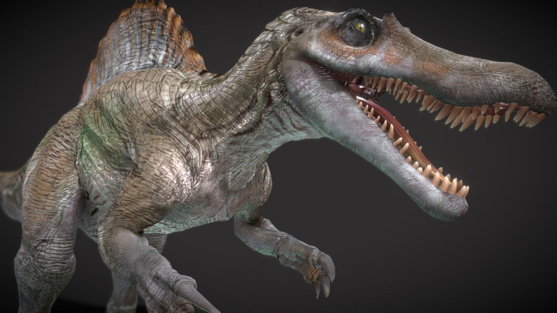 Spinosaurus Hybrid - 3D model by robertfabiani [8ea0b19] - Sketchfab