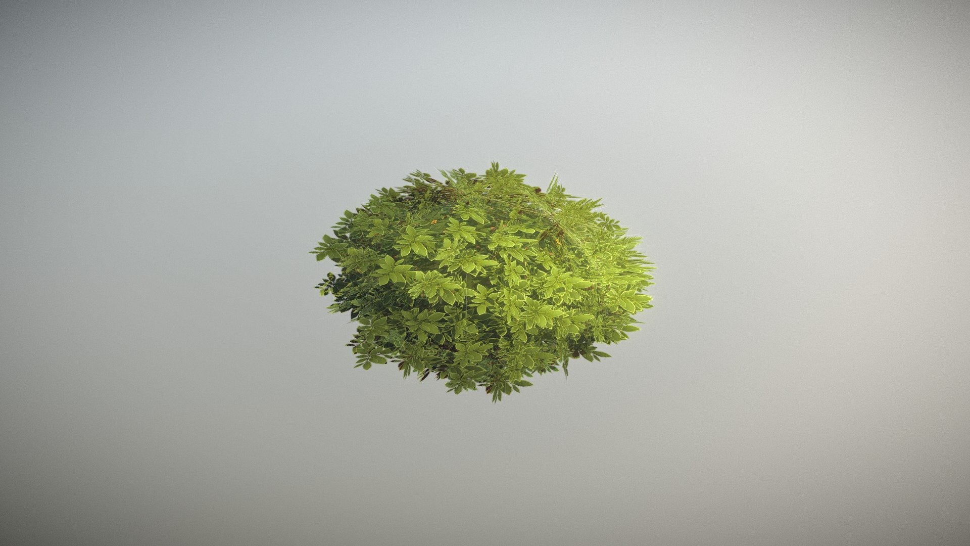 Bush - 3D model by Charlotte Legeay (@charlottelegeay) [8ea4825 ...