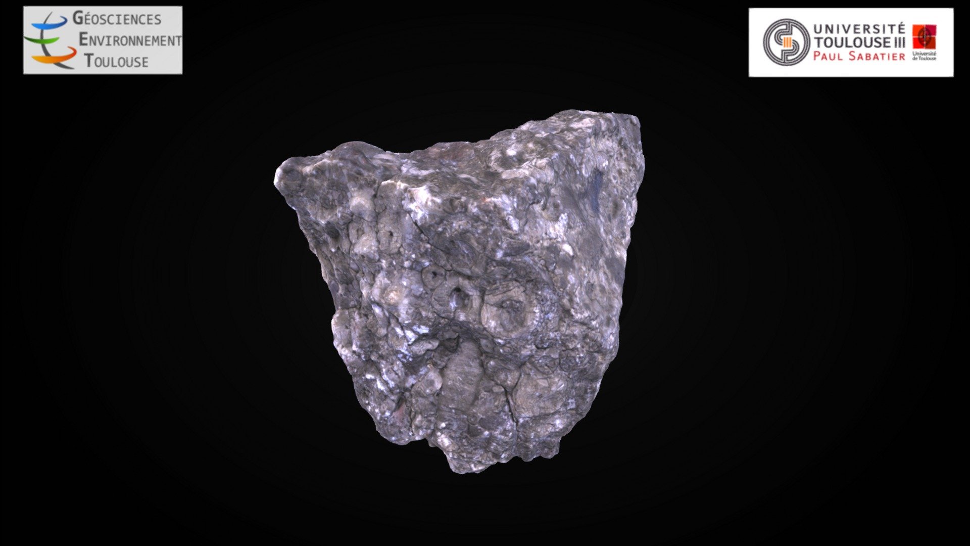 Calcaire à Entroques - Download Free 3D model by Marc de RAFELIS ...