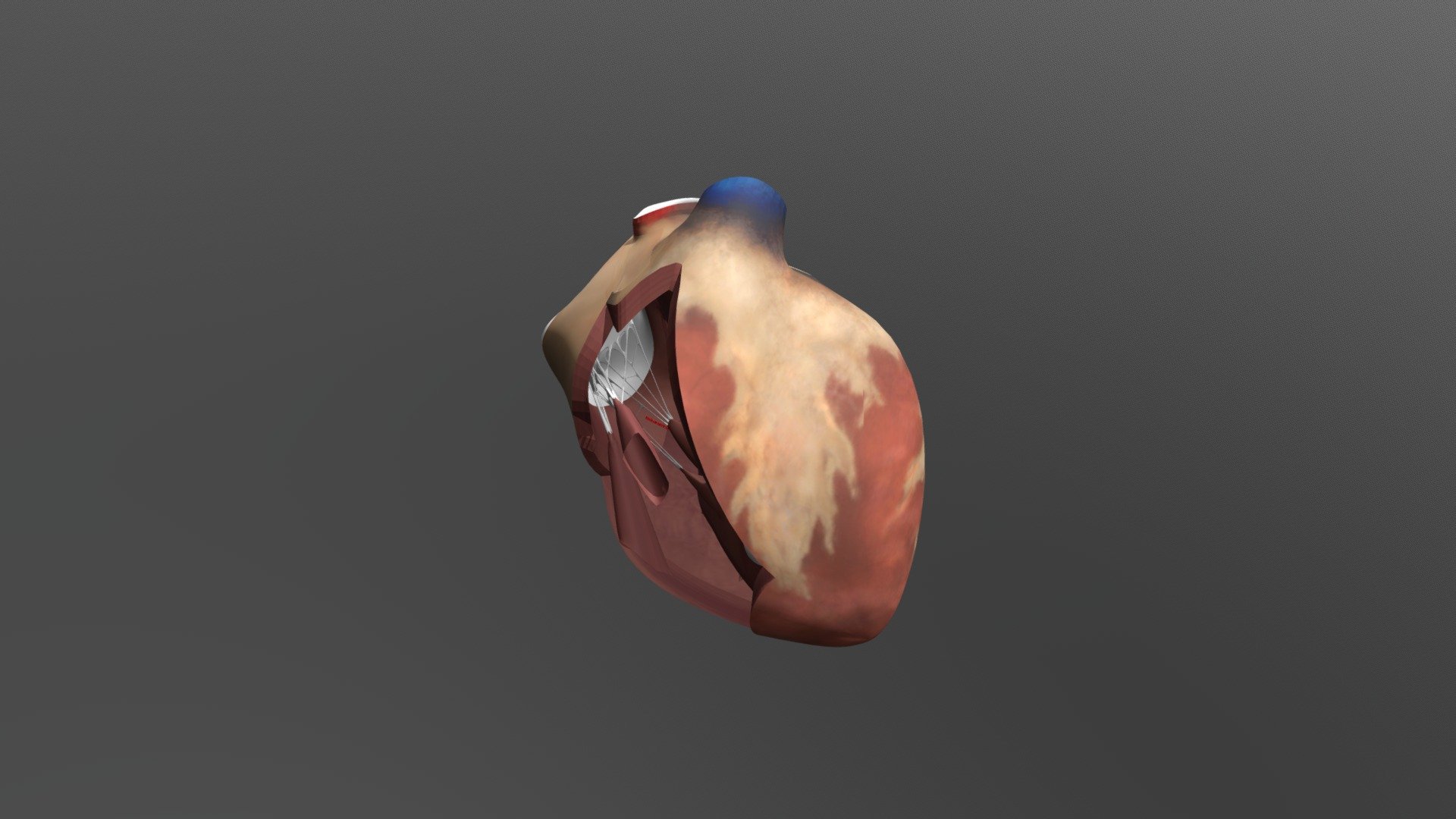 Vsd - 3D model by 2pikalp [8eac557] - Sketchfab