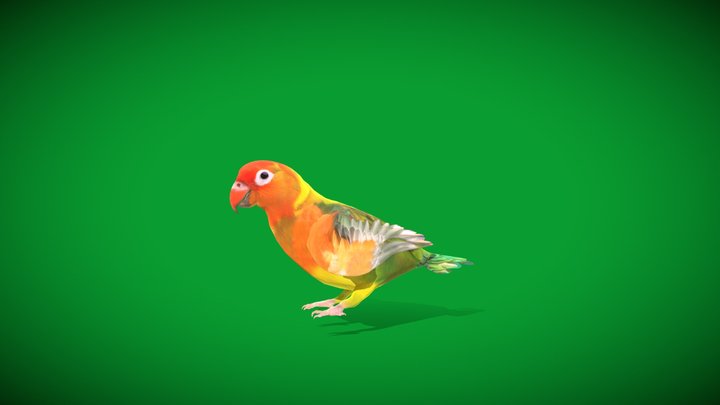 Madagascar 3D models - Sketchfab