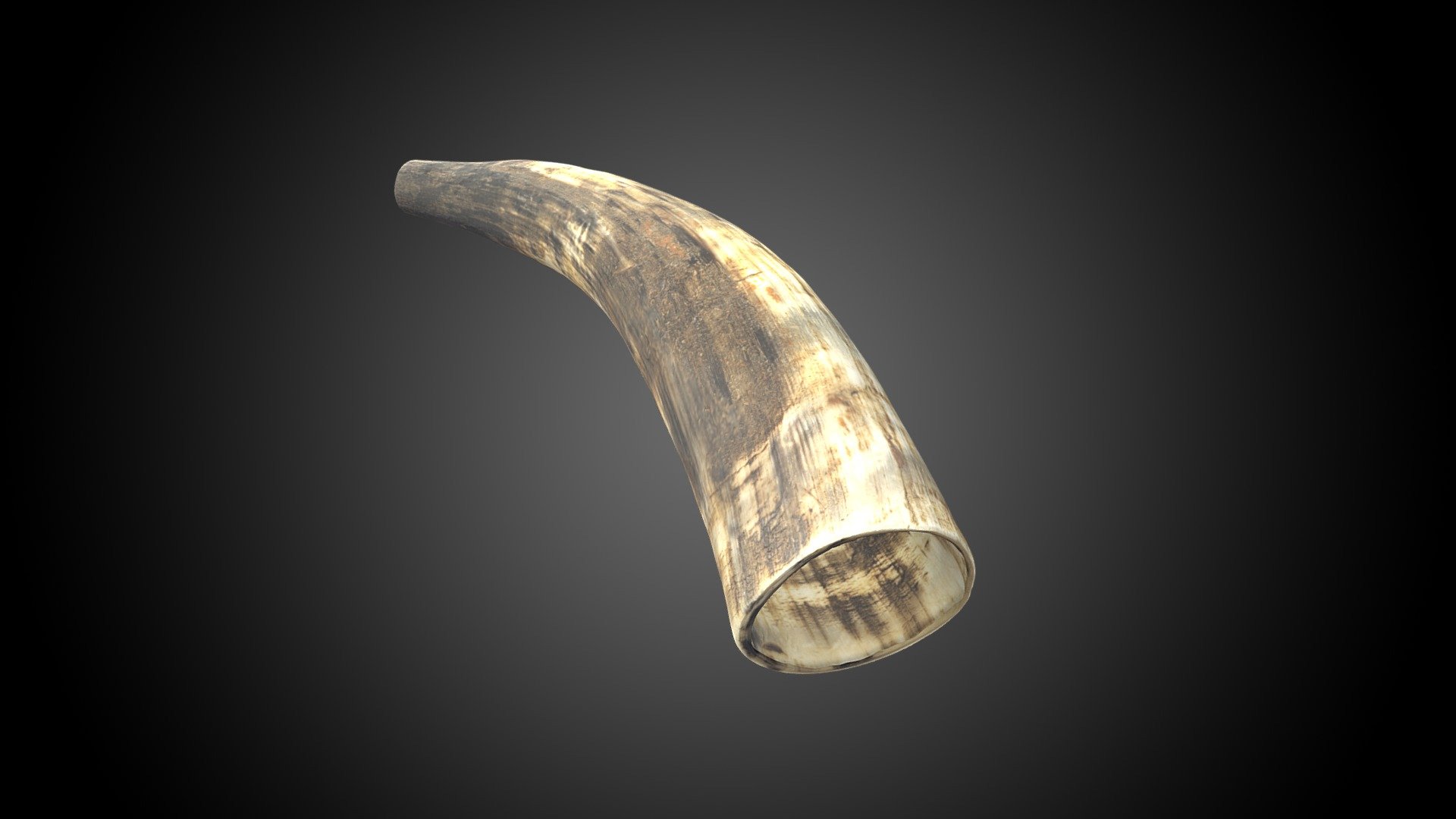 Horn - 3D model by English Heritage (@EnglishHeritage) [8ebb090 ...