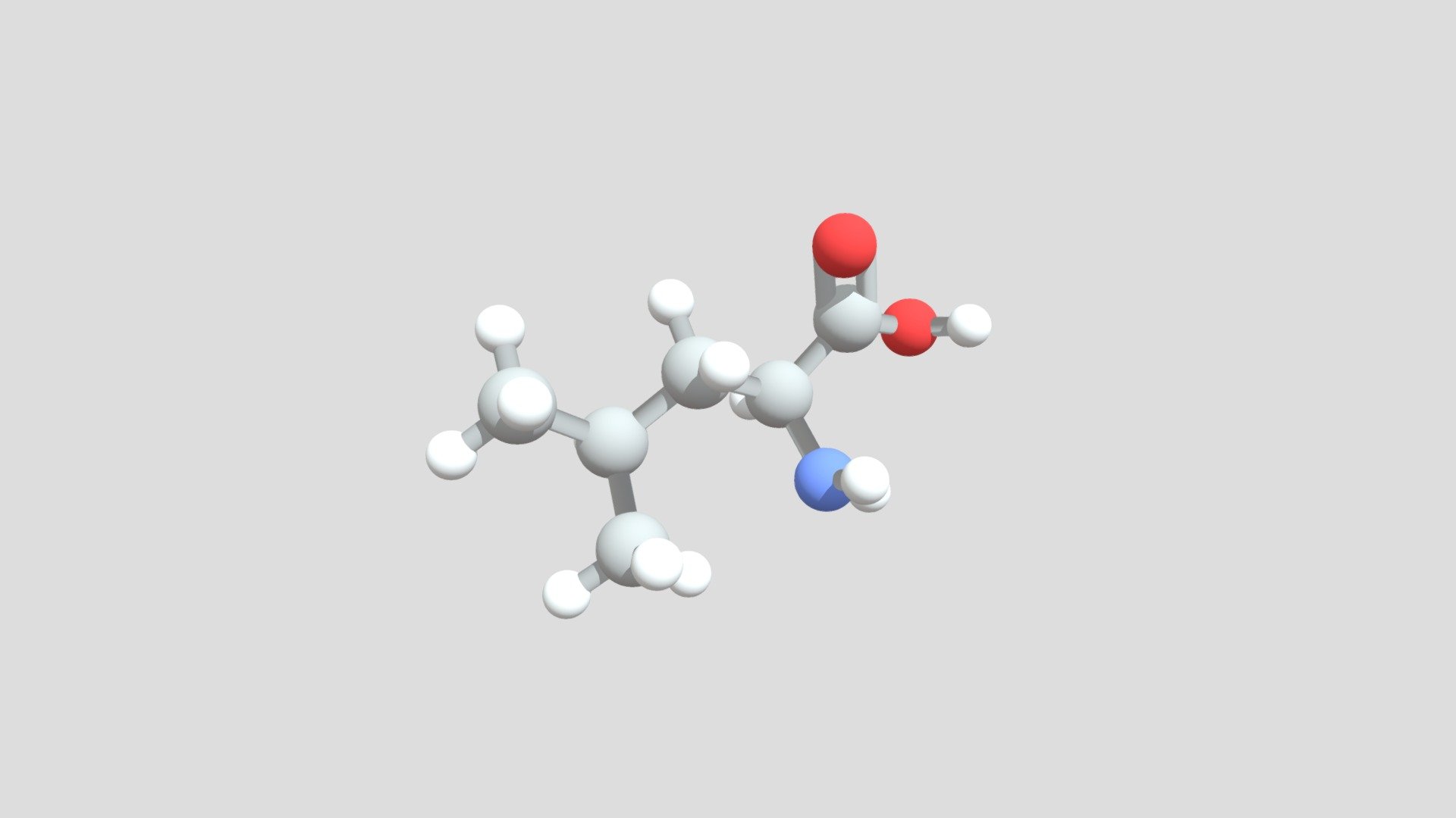 Leucine - Download Free 3D model by orgoly [8ebb5b5] - Sketchfab