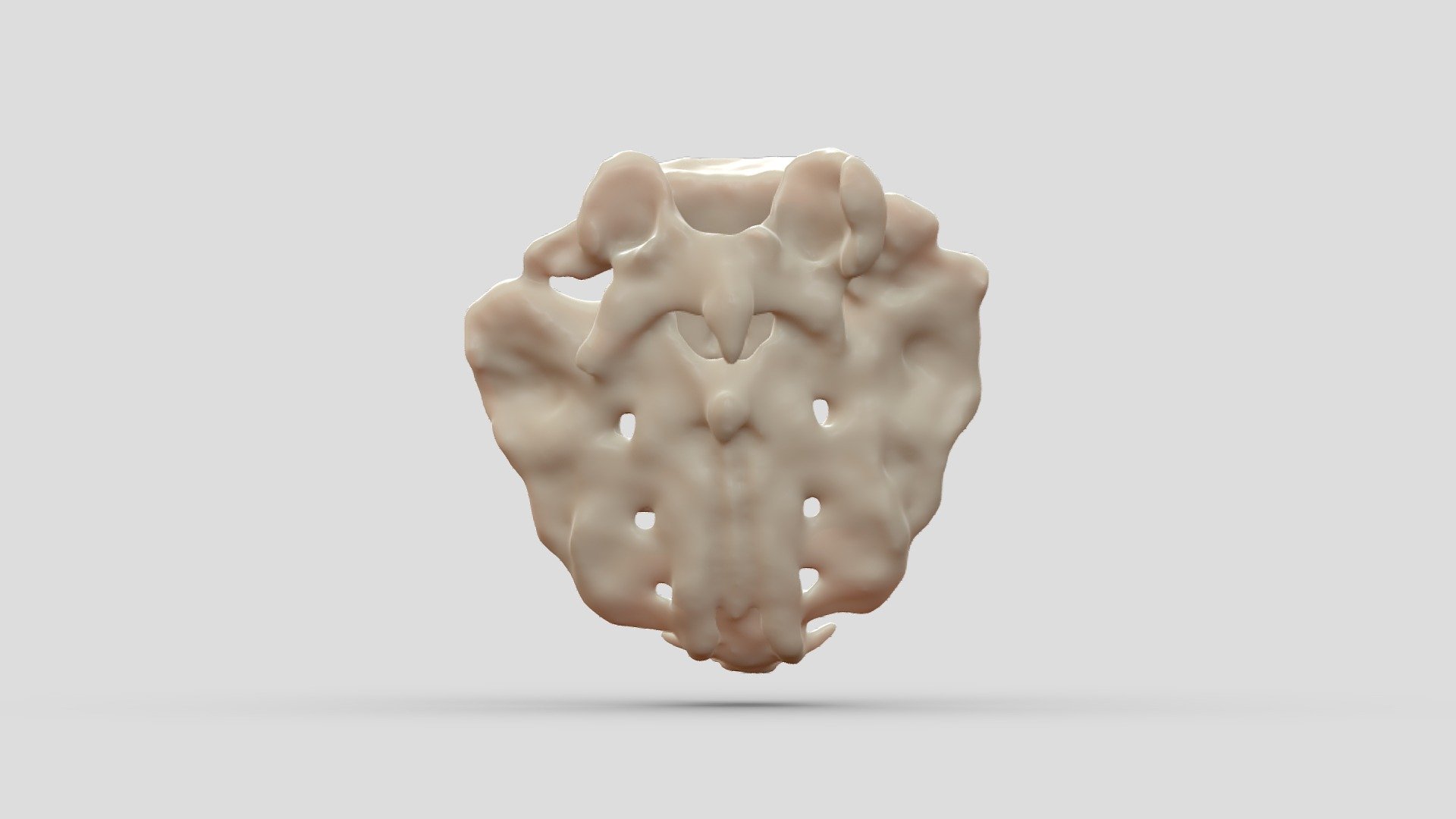 Sacral Variant - Buy Royalty Free 3D model by Terrie (@terrielsimmons ...