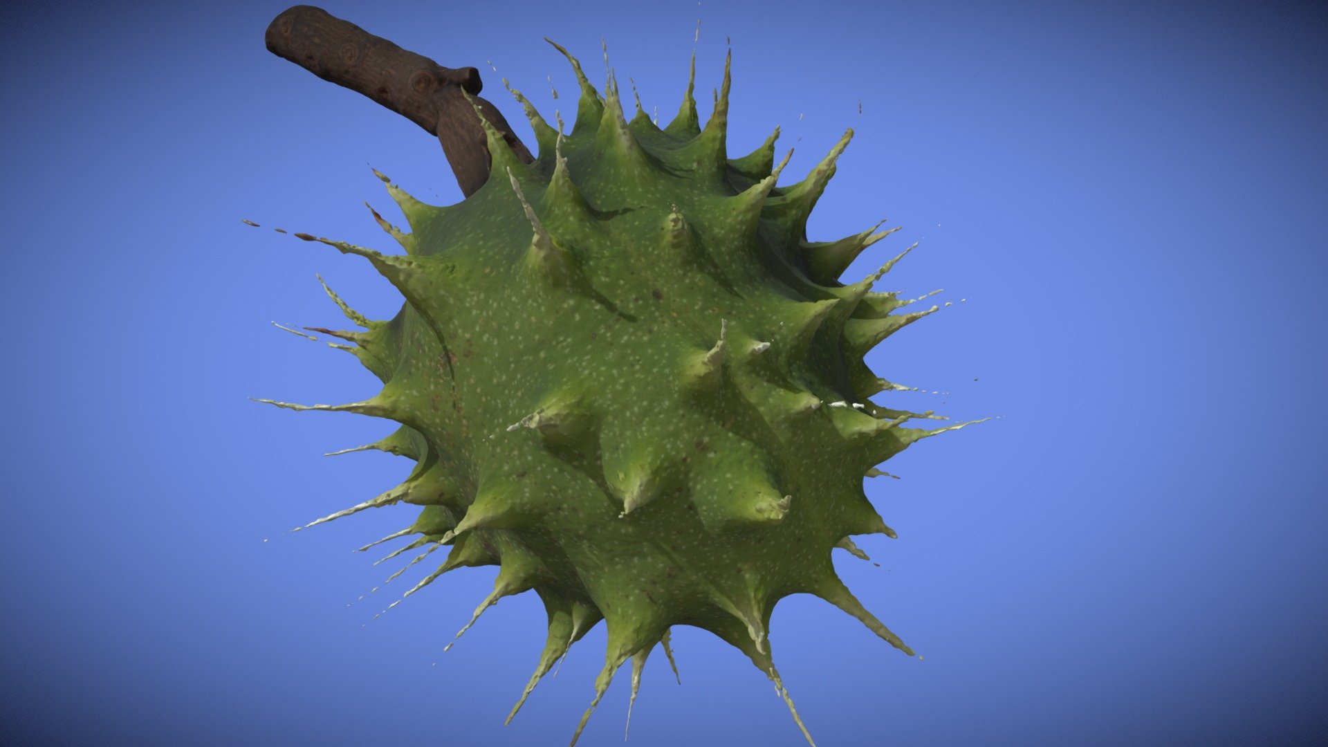 Spiky Seed - 3D model by gspeed0689 [8ec61db] - Sketchfab