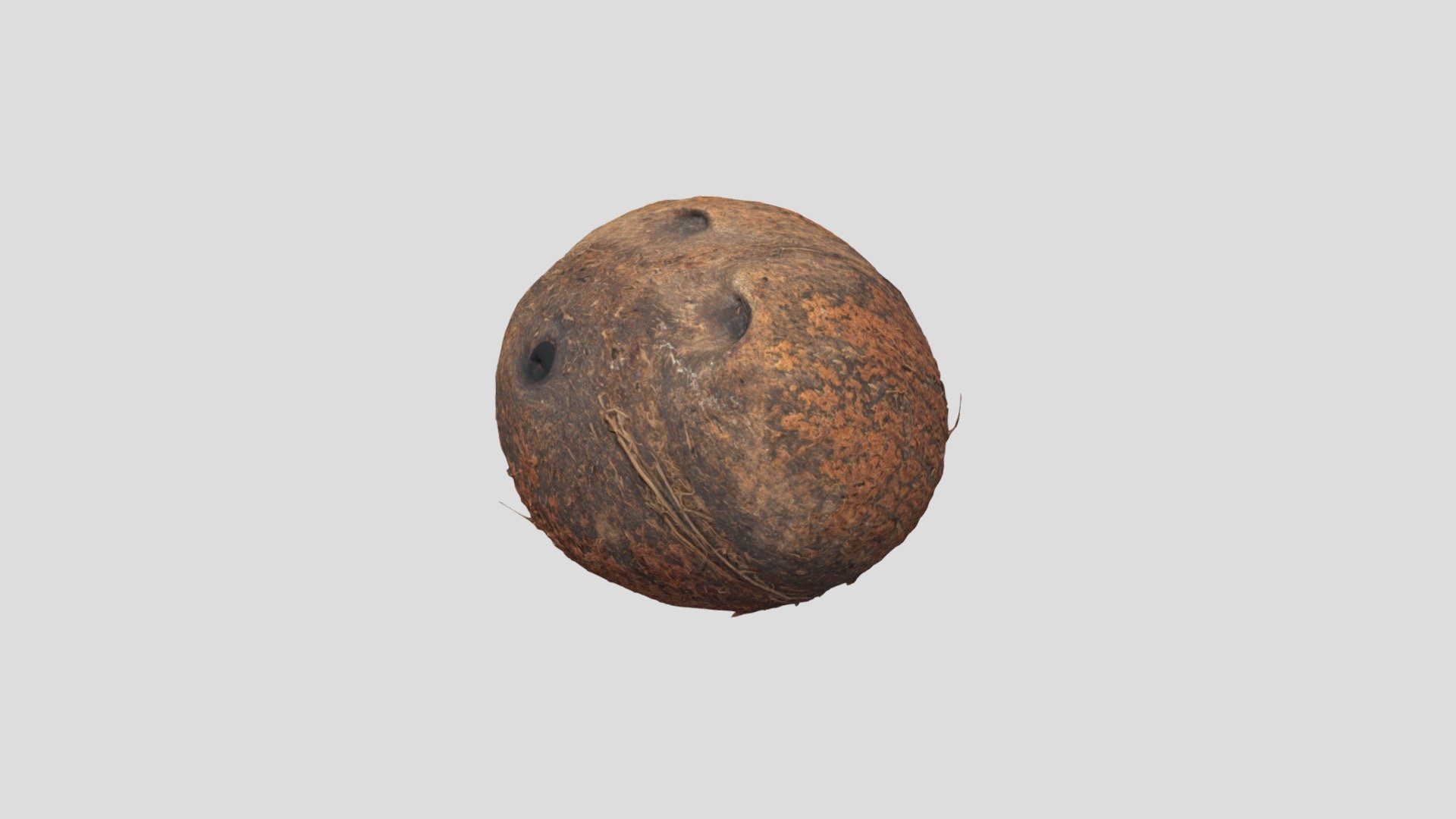 coconut - Download Free 3D model by Mylom [8ed0693] - Sketchfab