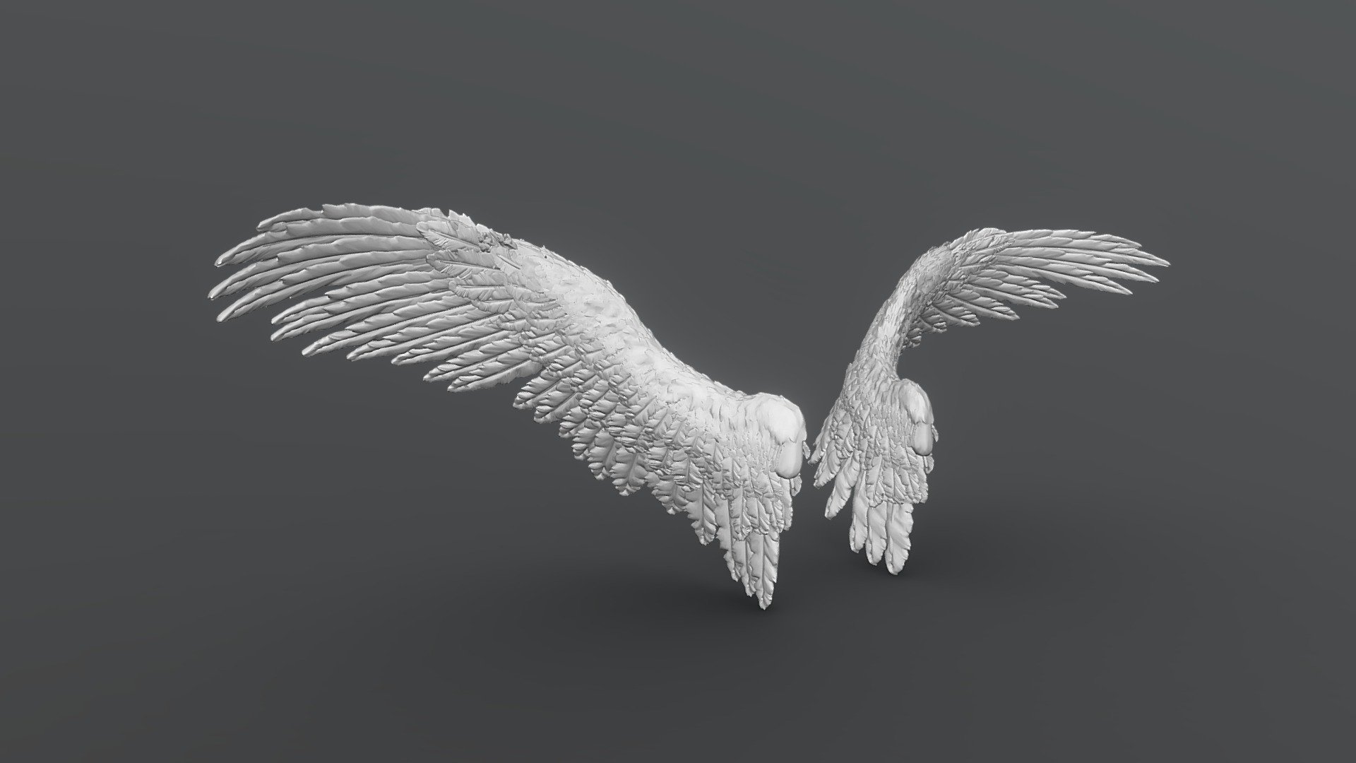 Wings in Motion 2-More Bent - 3D model by Alexandria Maharaj (@Thedovahtamer) [8ed2fc1] - Sketchfab