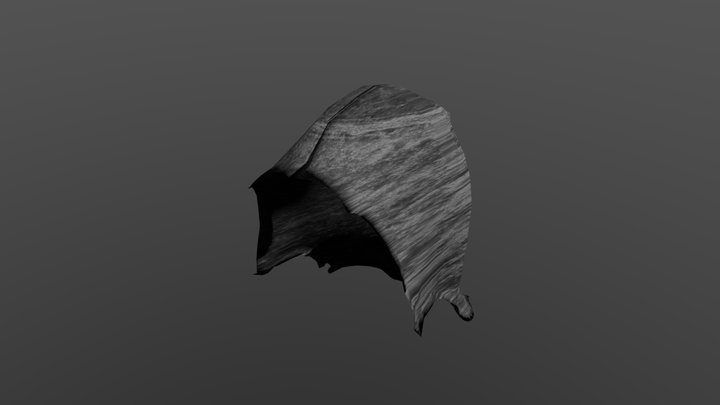Hoods 3D models - Sketchfab