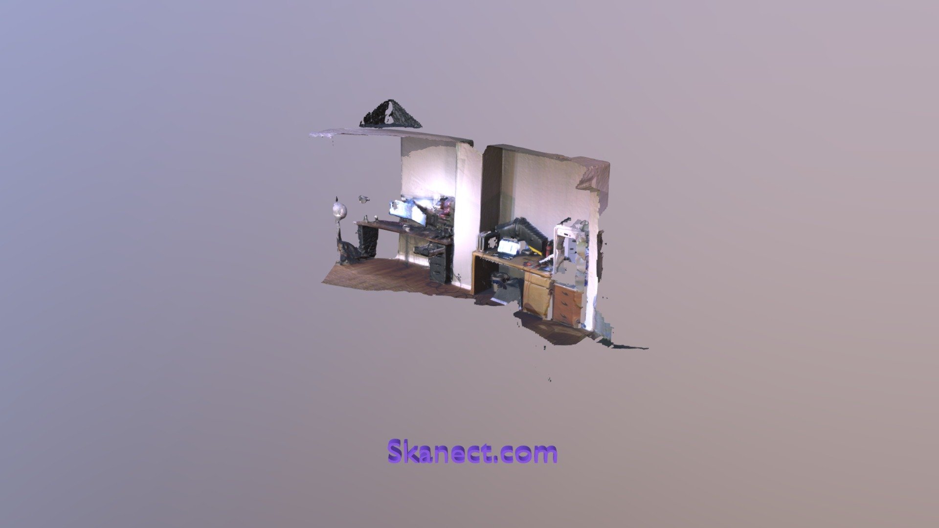 New Skanect Model - 3D model by diegovillagrasa [8ee6563] - Sketchfab