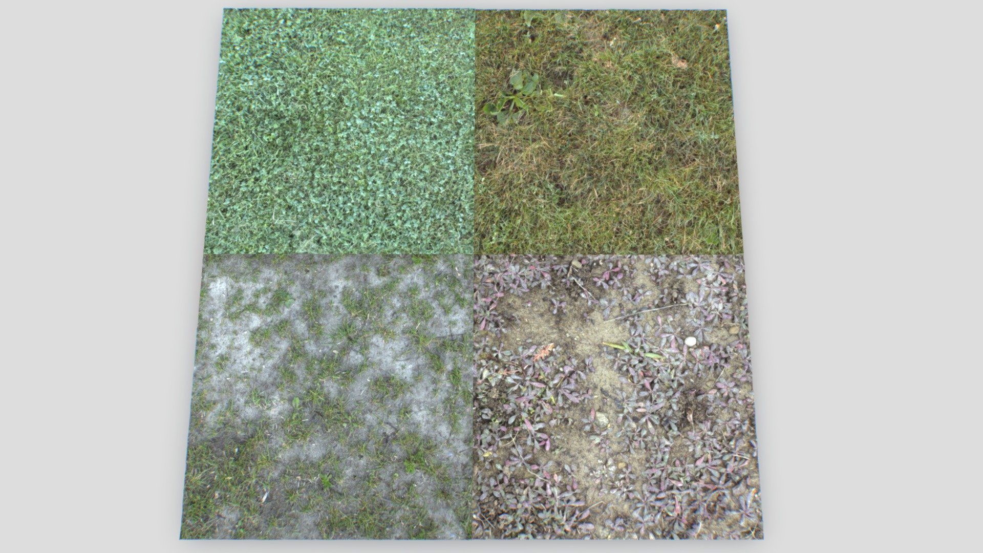 Forest Terrain Pack 25 Textures - Buy Royalty Free 3D model by 32cm ...